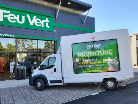 Est-ce la fin du chat de Feu Vert ? - Feu vert Franchise